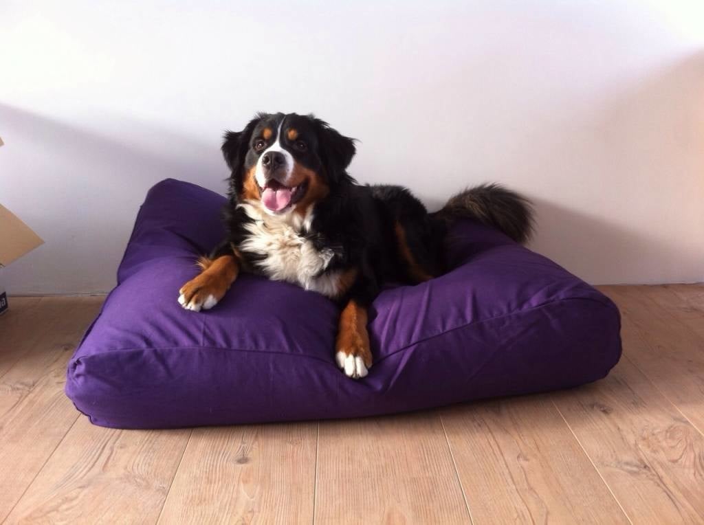 Hondenbed paars XL | Comfortabel en wasbaar hondenkussen - Dog's Companion®