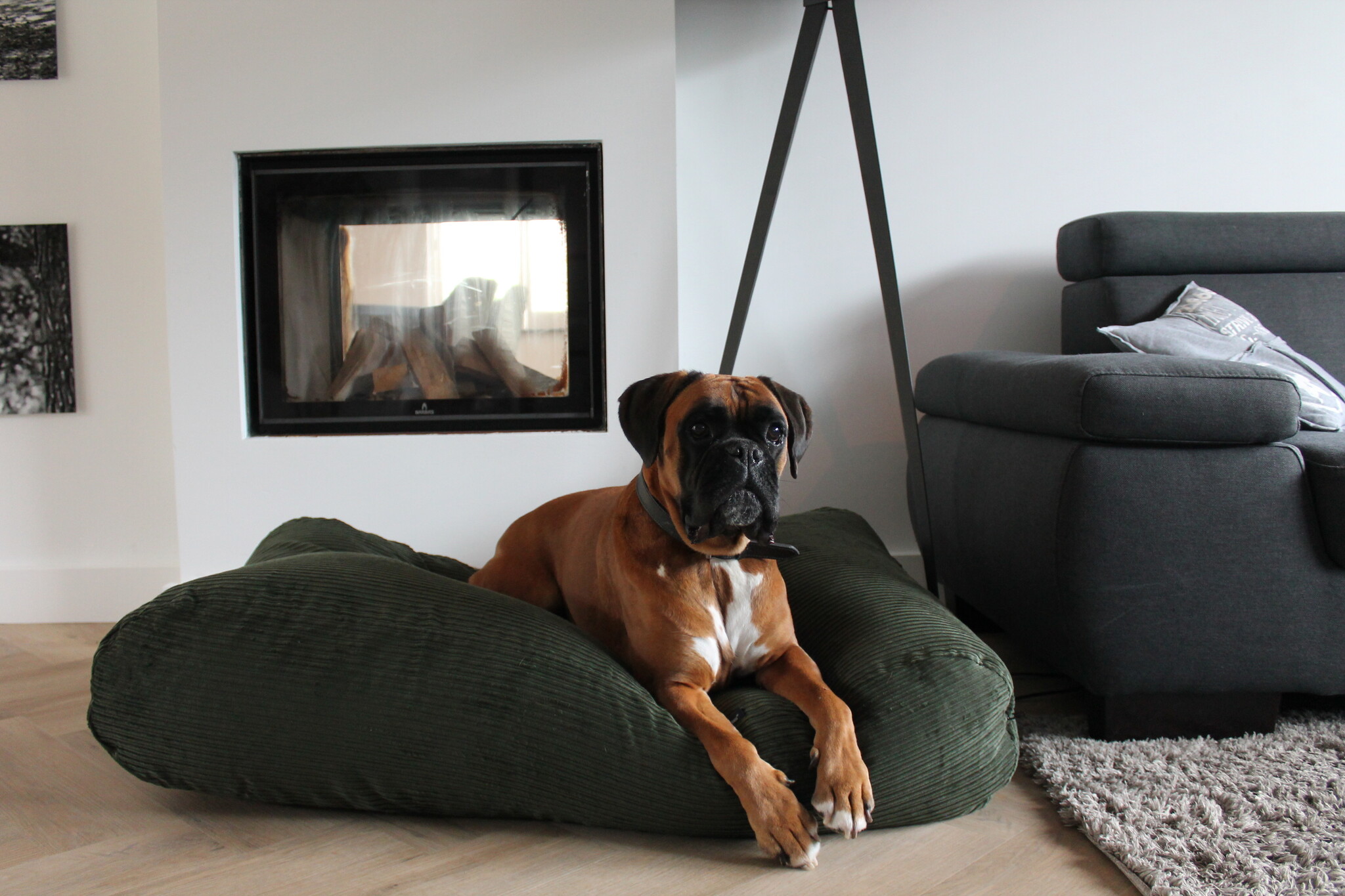 Hundebett Hunting Doppelcord - Hundebetten von Dog’s Companion®