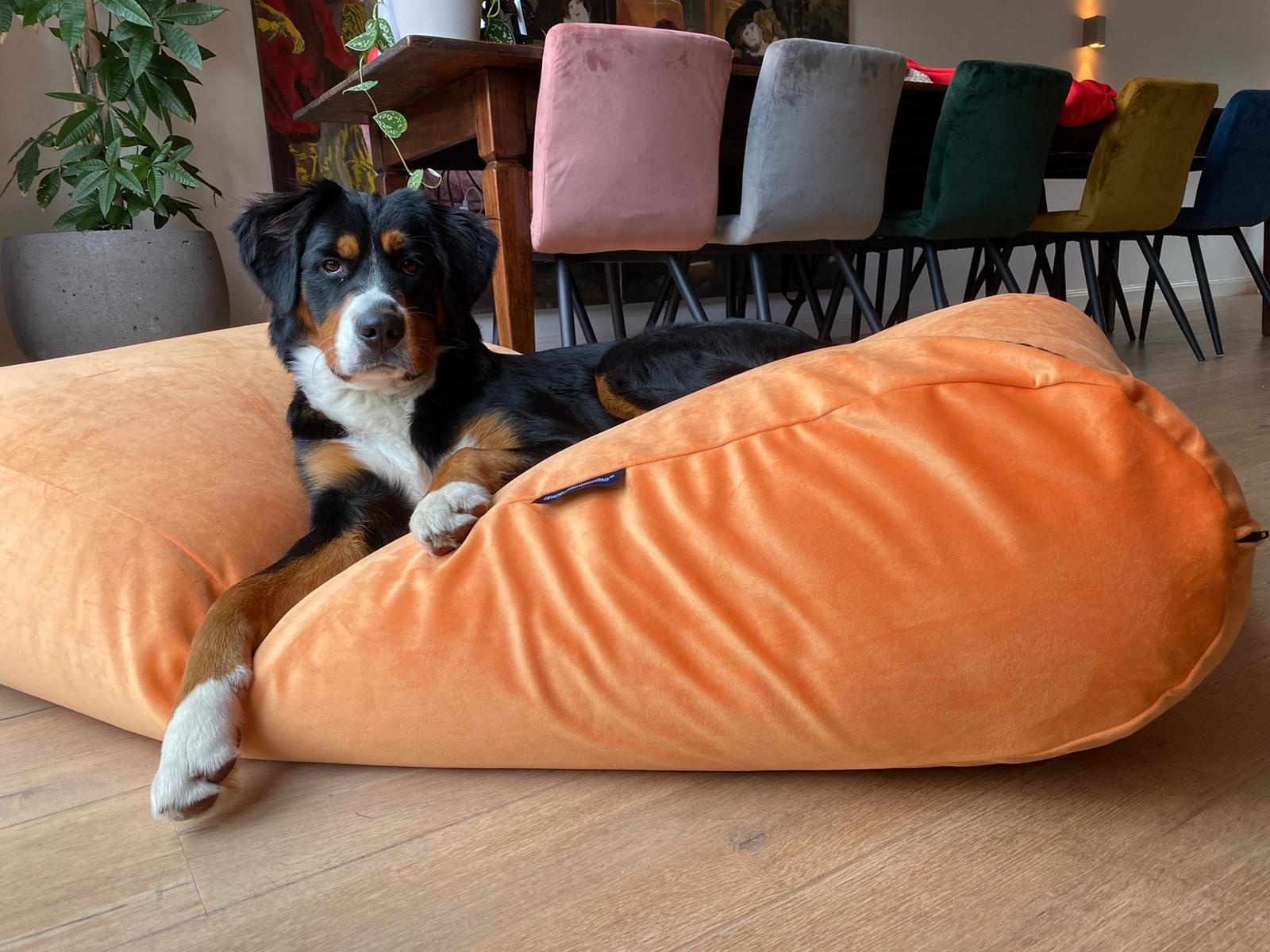 Lit pour chien Peach velours - Lits pour chien de Dog’s Companion®