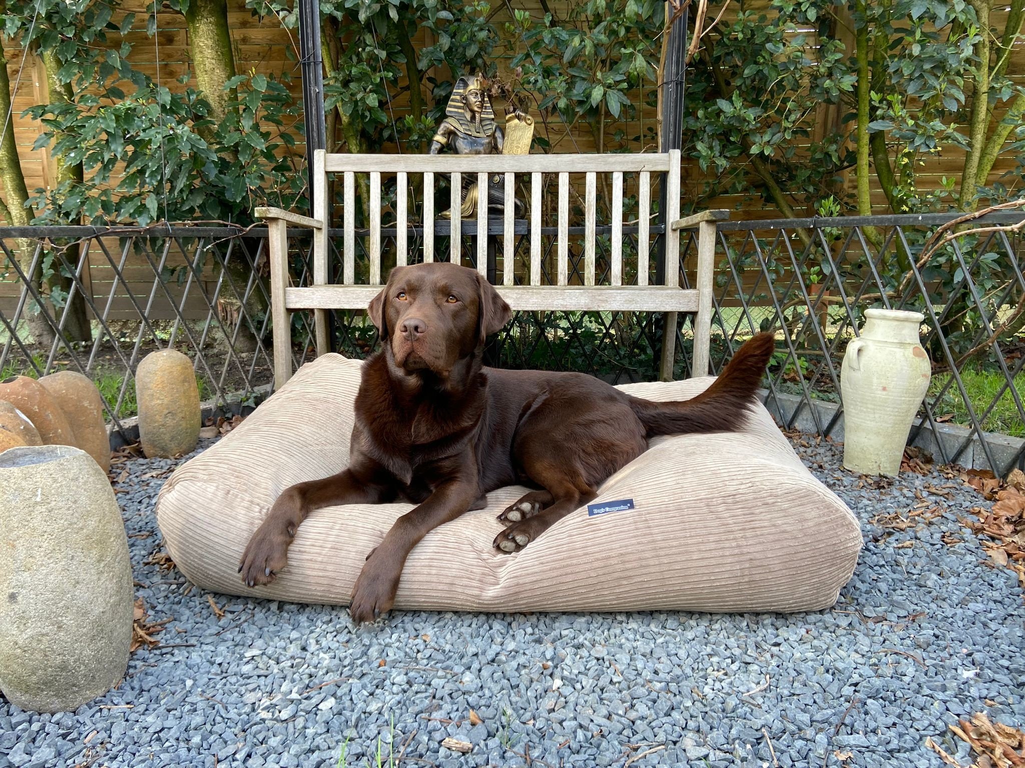 Lit pour chien foie double velours côtelé Large – Lavable & Douillet ...