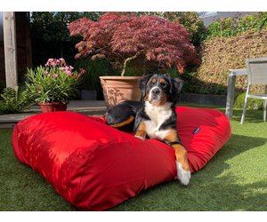 Dog bed red coating extra small - Dog beds by Dog's Companion®