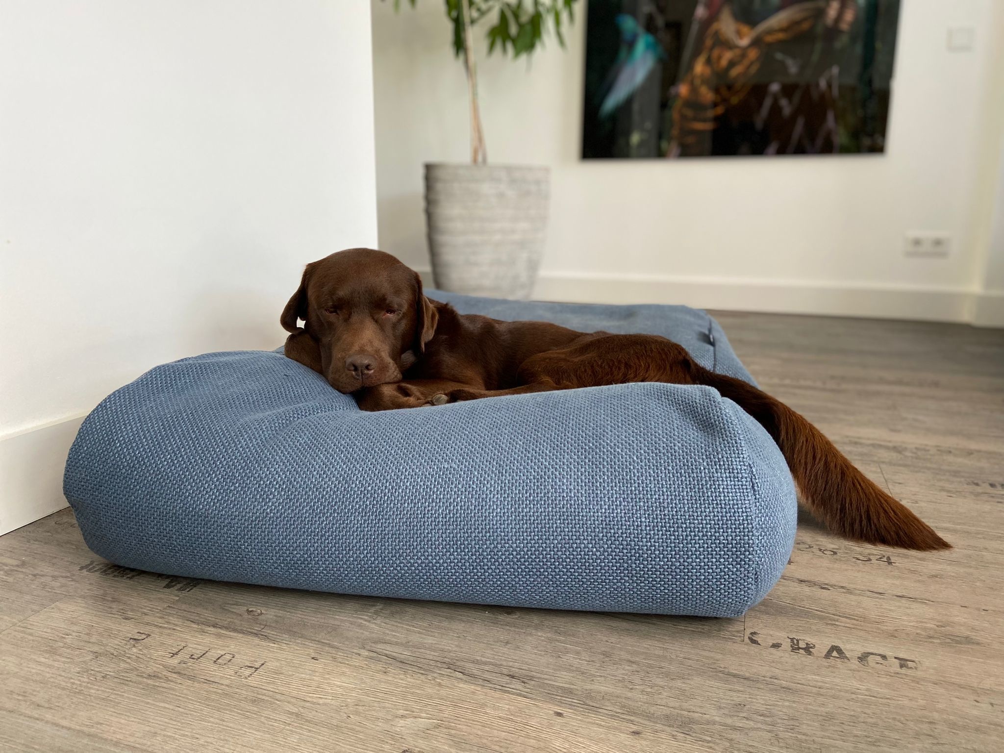 Lit pour chien Copenhagen mid blue - Coussins pour chiens de Dog’s ...