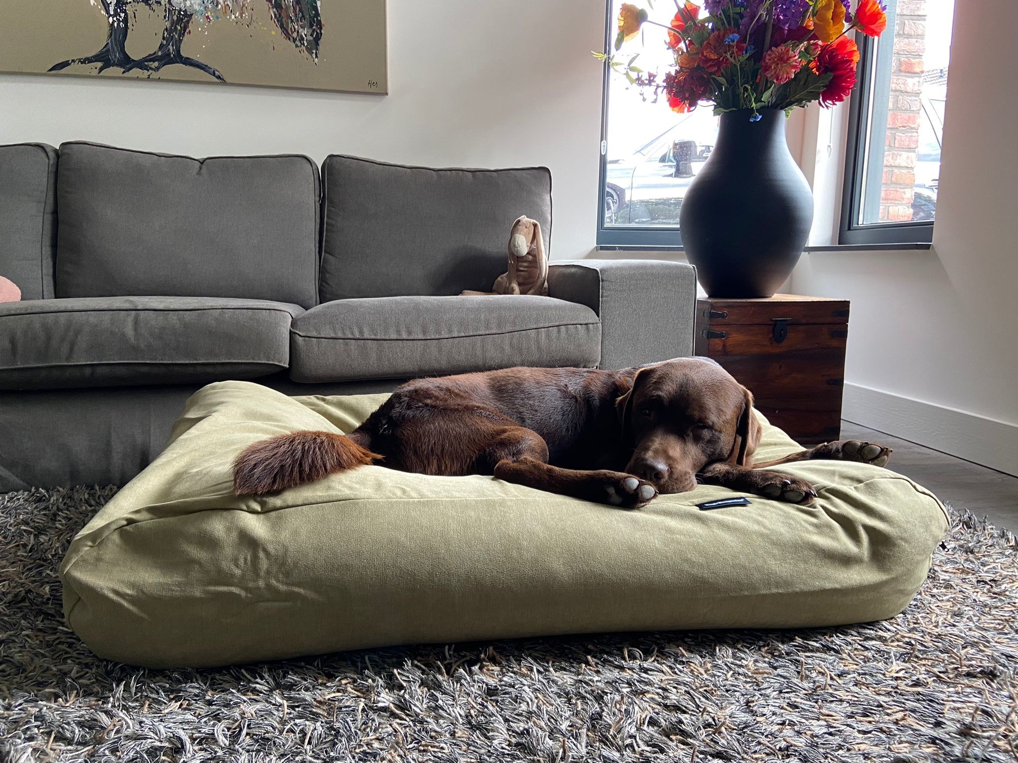 Lit pour chien Moss Velvet - Coussins pour chiens de Dog’s Companion®