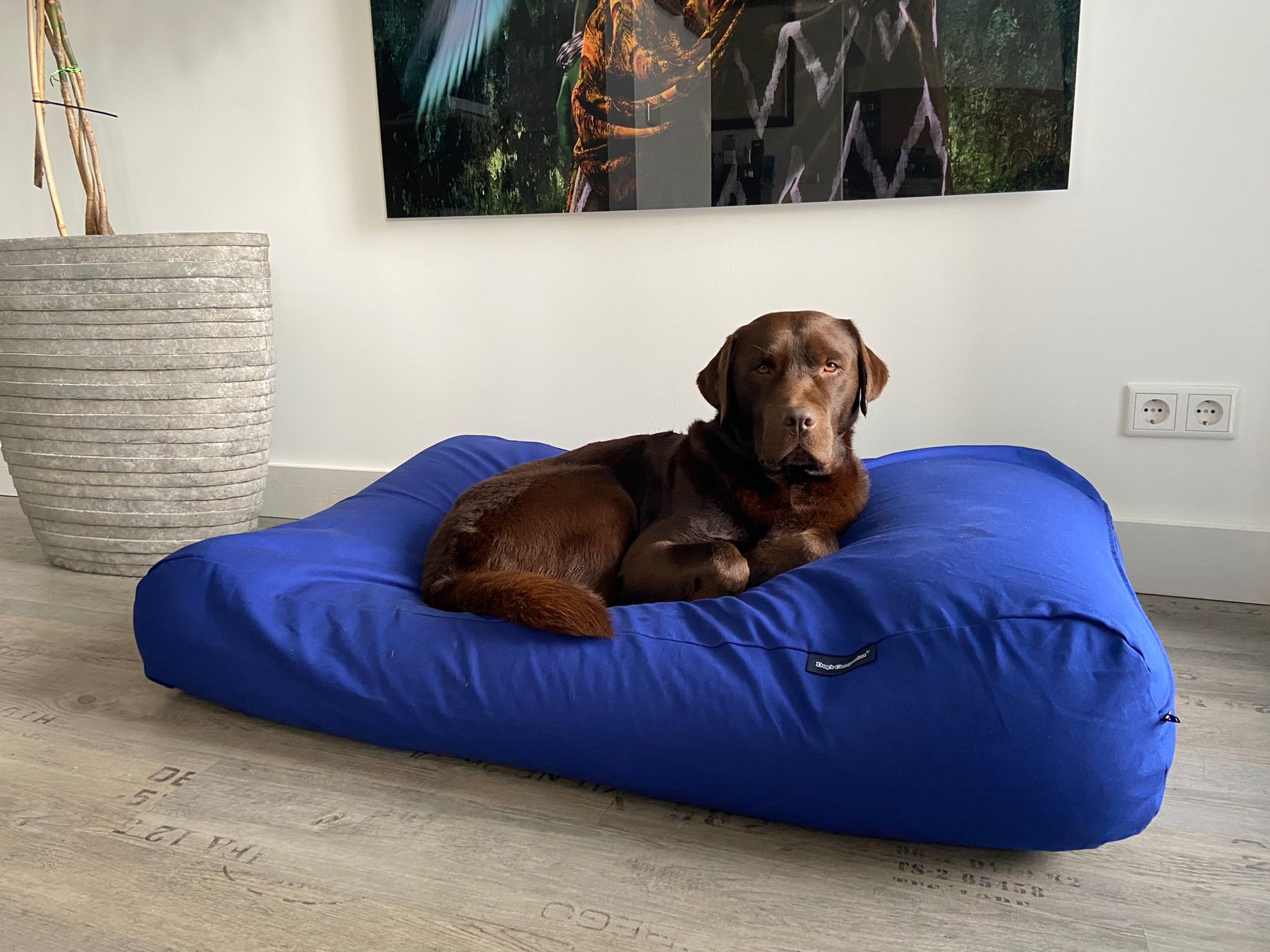 Lit pour chien royal blue - Coussins pour chiens de Dog’s Companion®