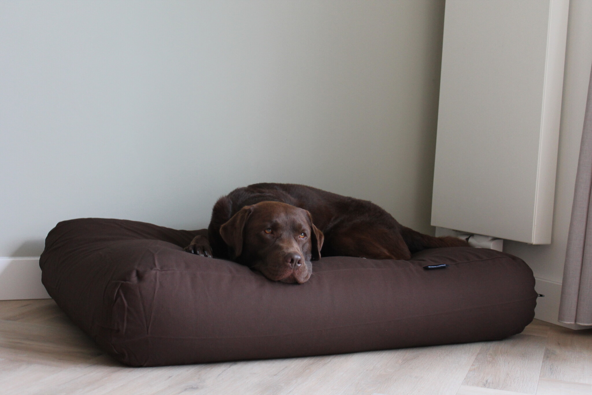 Dog bed chocolate brown extra small - Dog beds by Dog's Companion®