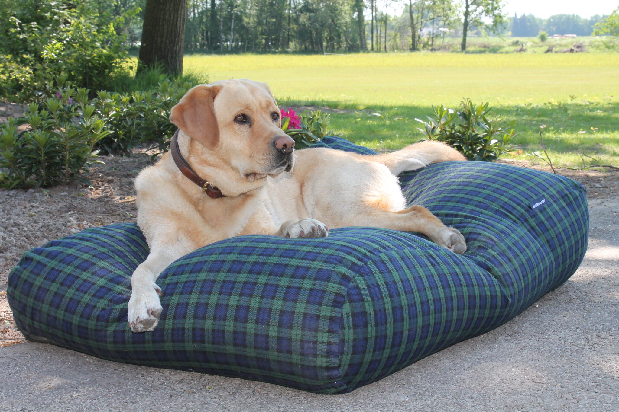 Lit pour chien Black Watch | Tartan classique & confort - Coussins pour ...