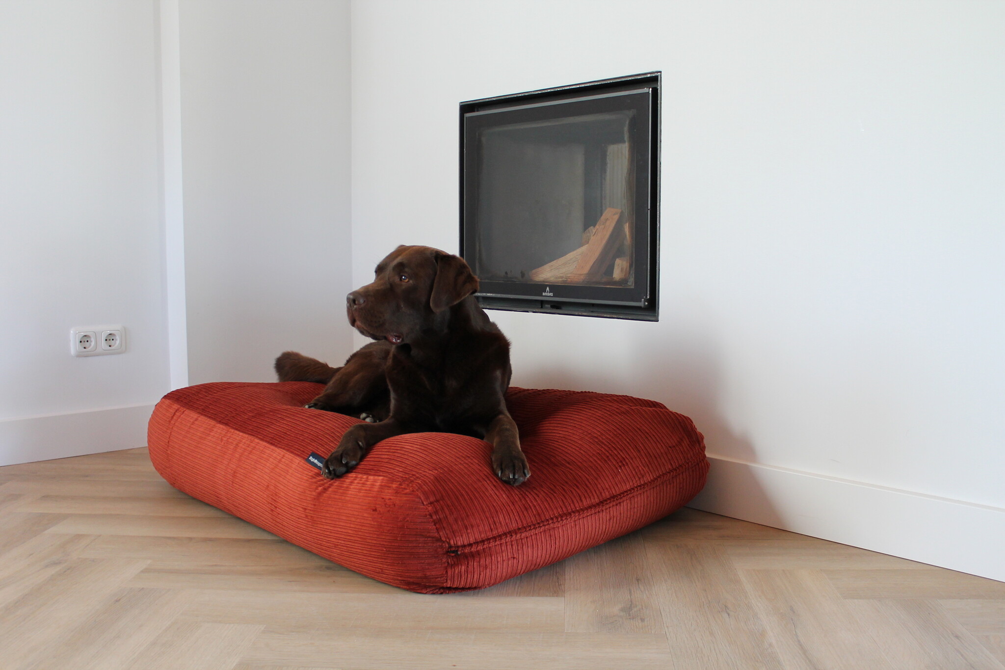 Dog Bed Brique Double Corduroy Extra Small – Washable & Cozy - Dog beds ...
