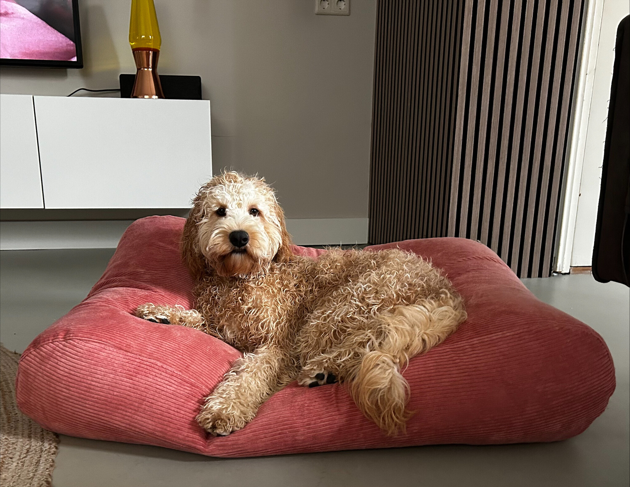 Dog bed old pink corduroy small - Dog beds by Dog's Companion®