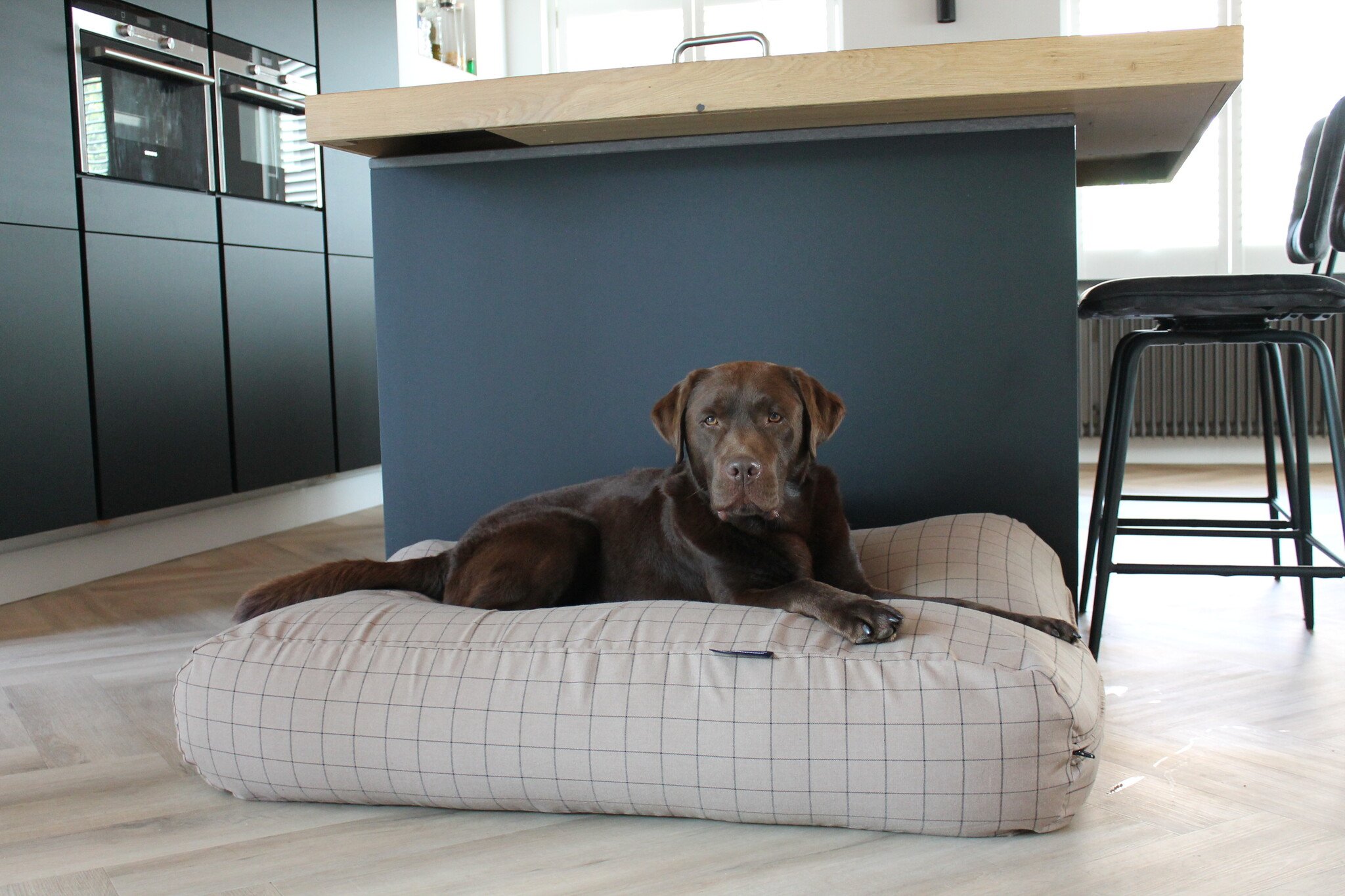 Dog bed Manhattan camel large - Dog beds by Dog's Companion®