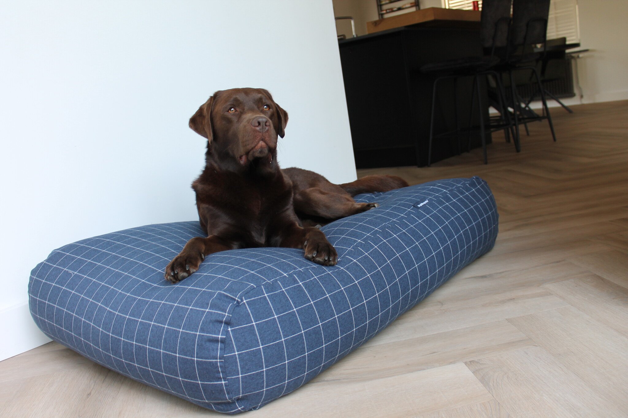 Dog Bed Manhattan Mid Blue XL | Comfort & style - Dog's Companion® Dog Beds