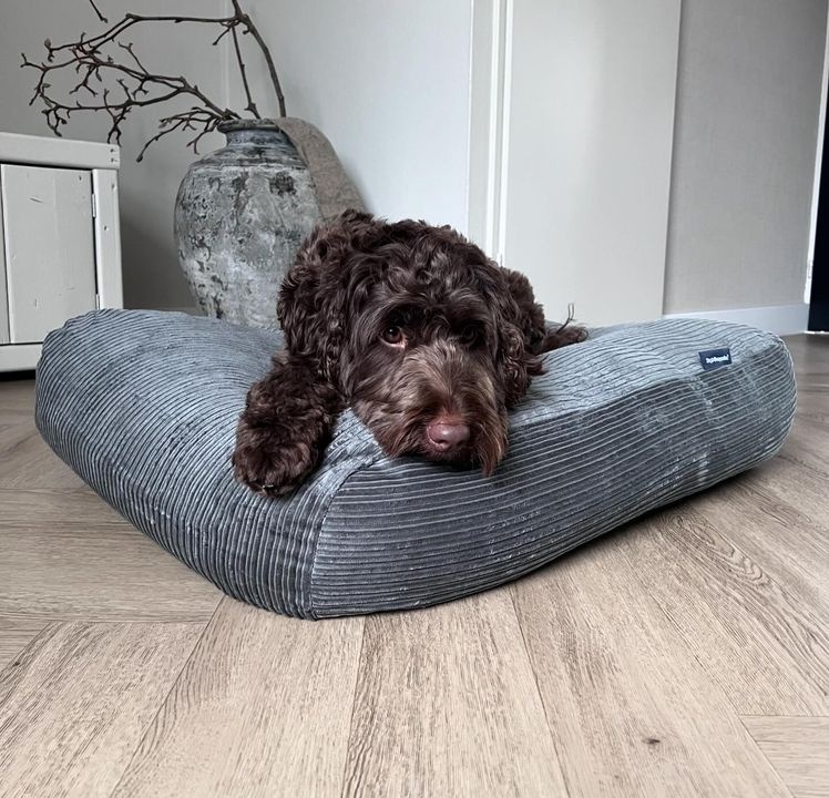 Dog Bed Mouse Grey Double Corduroy Extra Small – Washable Cover - Dog ...