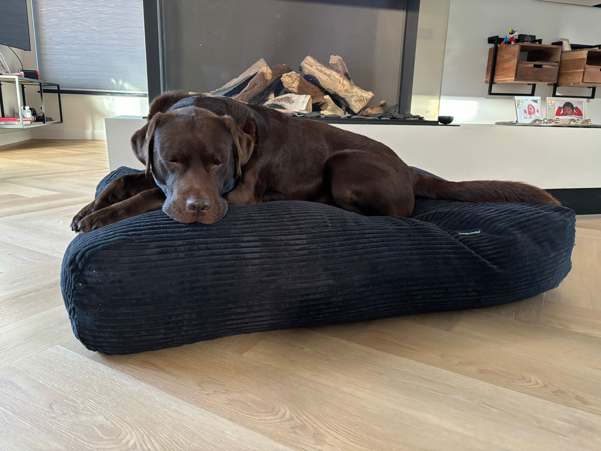 Coussin pour chien Noir velours côtelé – XL – Pour très grand chiens ...