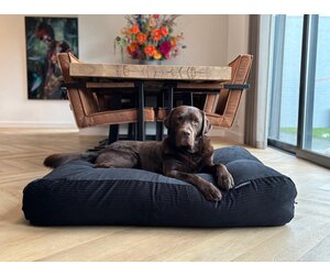 Dog bed black double corduroy medium - Dog beds by Dog's Companion®