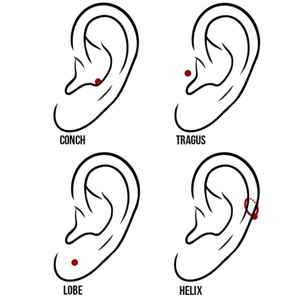 Click Ring Premium Zirconia Piercings Works