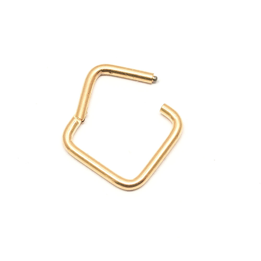 Moderne en Stijlvolle Piercing Ring van Titanium - Seamless Click ...