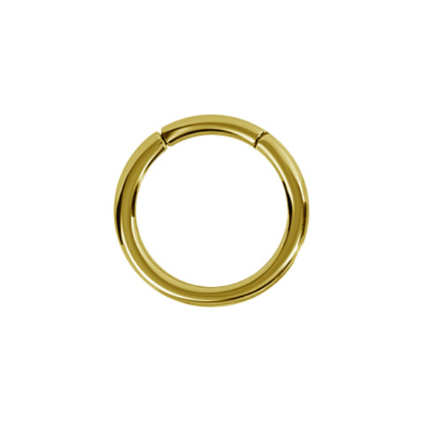 18 Karat Gold Segment Ring - Basic (0.8mm) - Piercings Works
