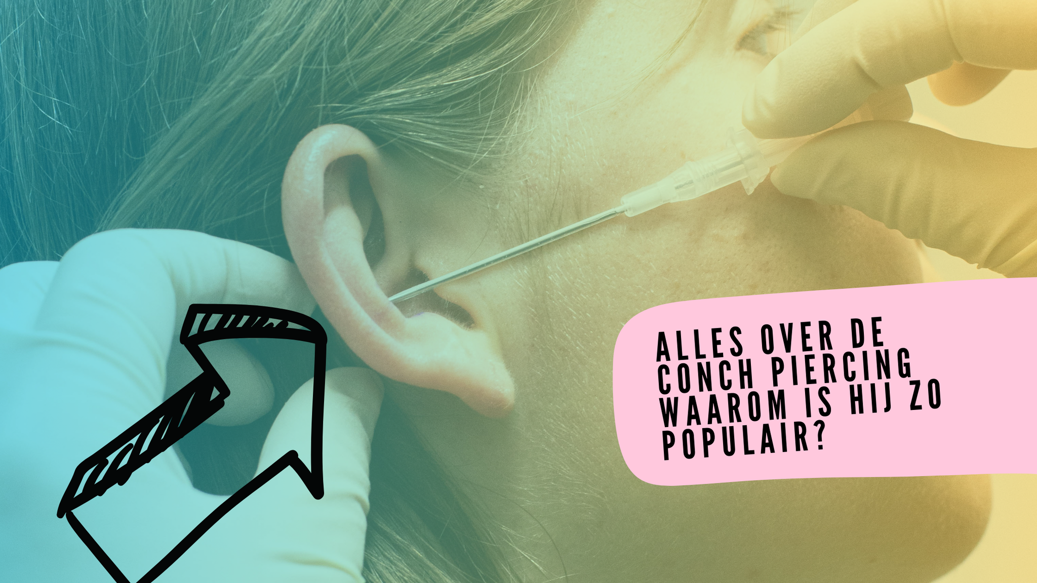 Alles over de Conch Piercing – Waarom is hij zo populair? - Piercings Works