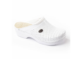 The online shop for woodenshoes, leather clogs and slippers ...