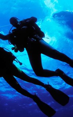 Duikcentrum Moby Dick - Duikcentrum Moby Dick