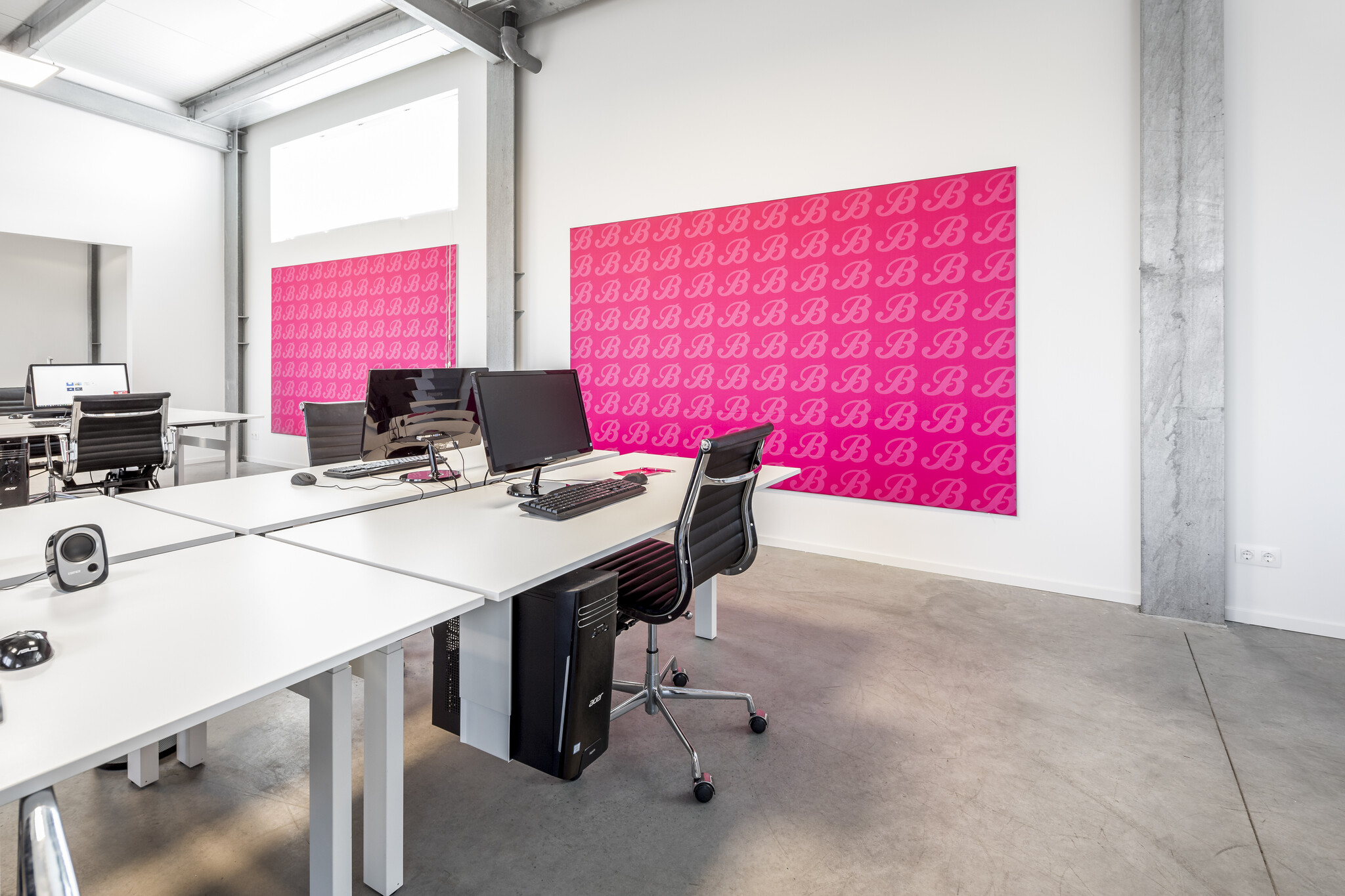 Favorite products of our Boozy HQ Babes - Boozyshop.com