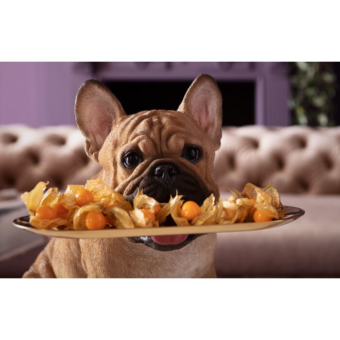Beeld Butler Hond Frenchy - H 40 cm - Kare Design - Axeswar Design