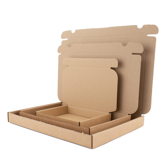 Brievenbusdoos A5+, golfkarton 255x160x28mm - 50 stuks - Euro-Label BV