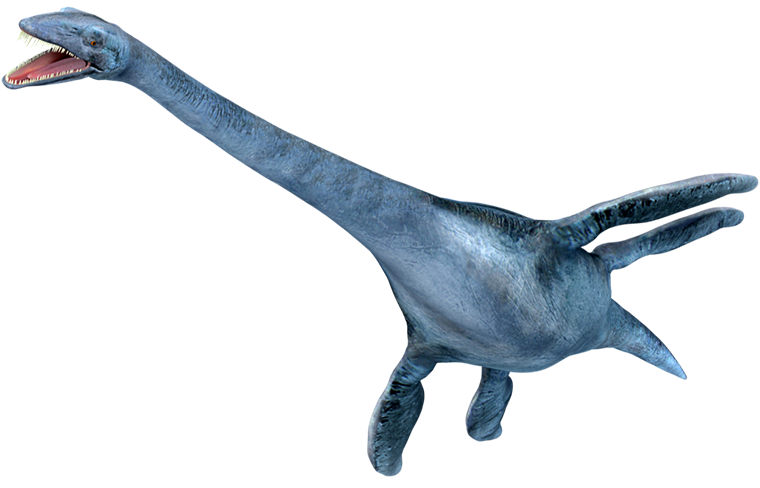 Plesiosaurus tanden