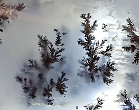 Minerals | The Amber Specialist