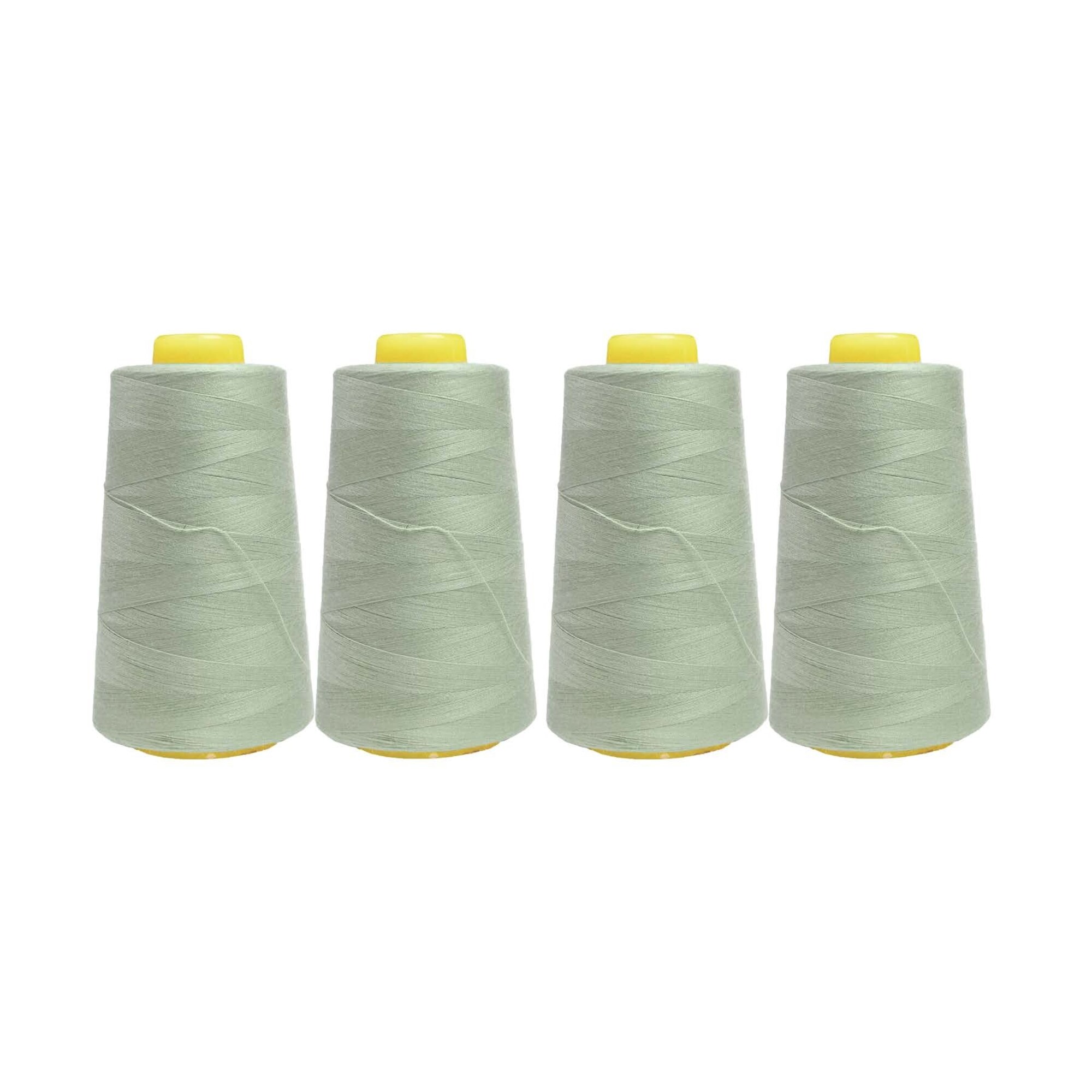 Overlock Yarn - Powder green Package 4 pcs. - StoffenBestellen.nl