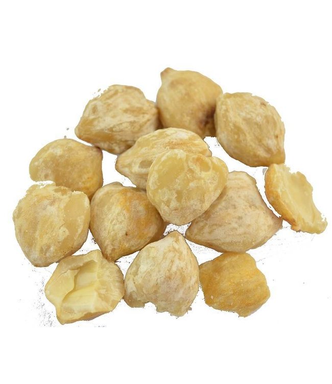 TokoGembira | Kemiri nuts 100 gram - Tokogembira.nl