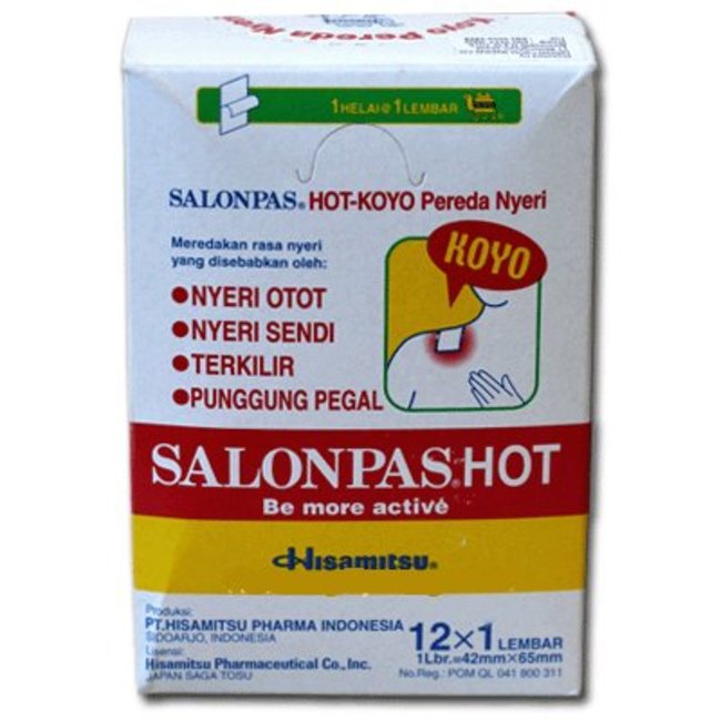Salonpas Hot 12x1 - Tokogembira.nl