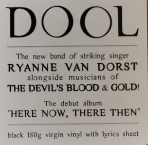 Dool Here Now, There Then (180g vinyl LP) - VinylVinyl