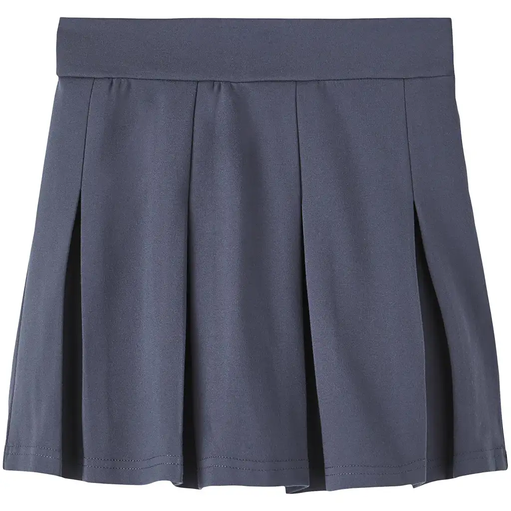 Rokje plooi Nasika (india ink) - Schattige Babykleertjes