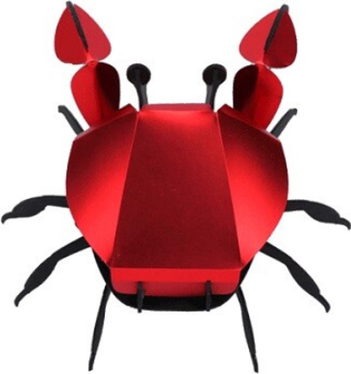 Assembli Paper Beach Crab Insect Puzzle - Kado in Huis