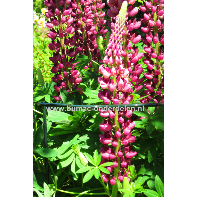 Gashendel voor MTD, Yard Man, Cubcadet, Wolf, White, Motec Zitmaaiers ...