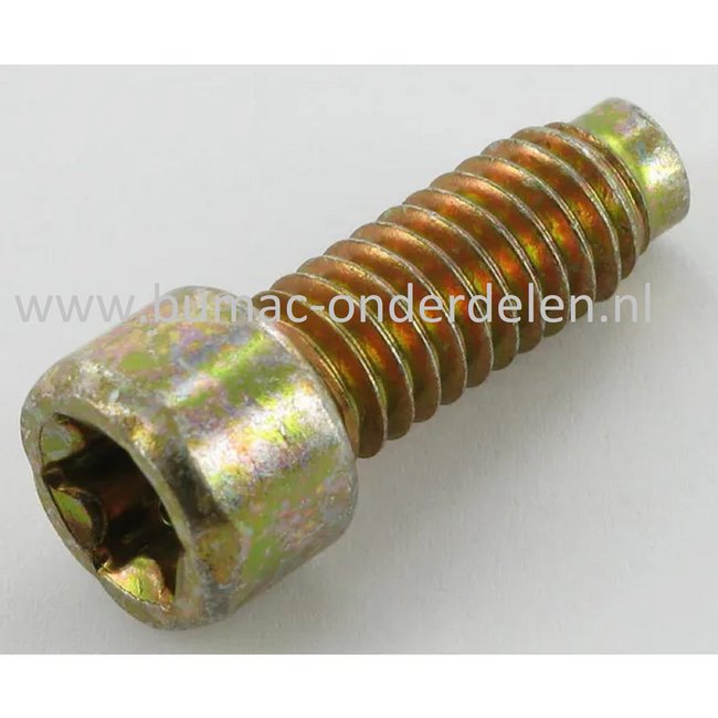 Inbusbout voor Montage van Uitlaat B&S Motor op Husqvarna, Jonsered ...