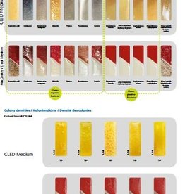 Uricult dip slide chart - Medische Vakhandel