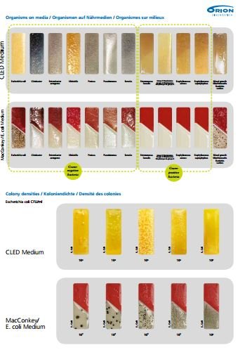 Uricult Trio dip slide chart - Medische Vakhandel