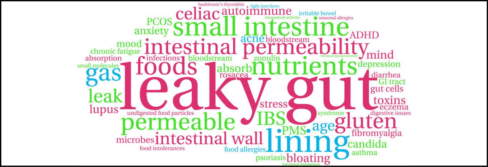 Leaky Gut oftewel een lekkende darm, wat is het en wat eraan te doen ... Leaky Gut oftewel een lekkende darm, wat is het en wat eraan te doen ...