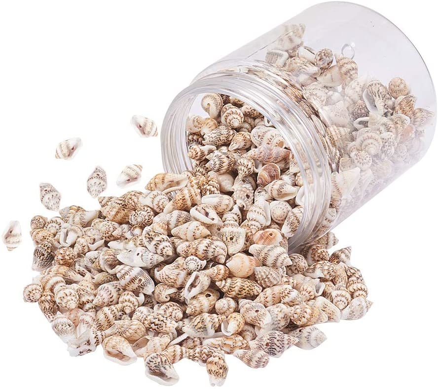 Natural Kauri Schelp Bedel 16x8x6mm - Beads & Basics