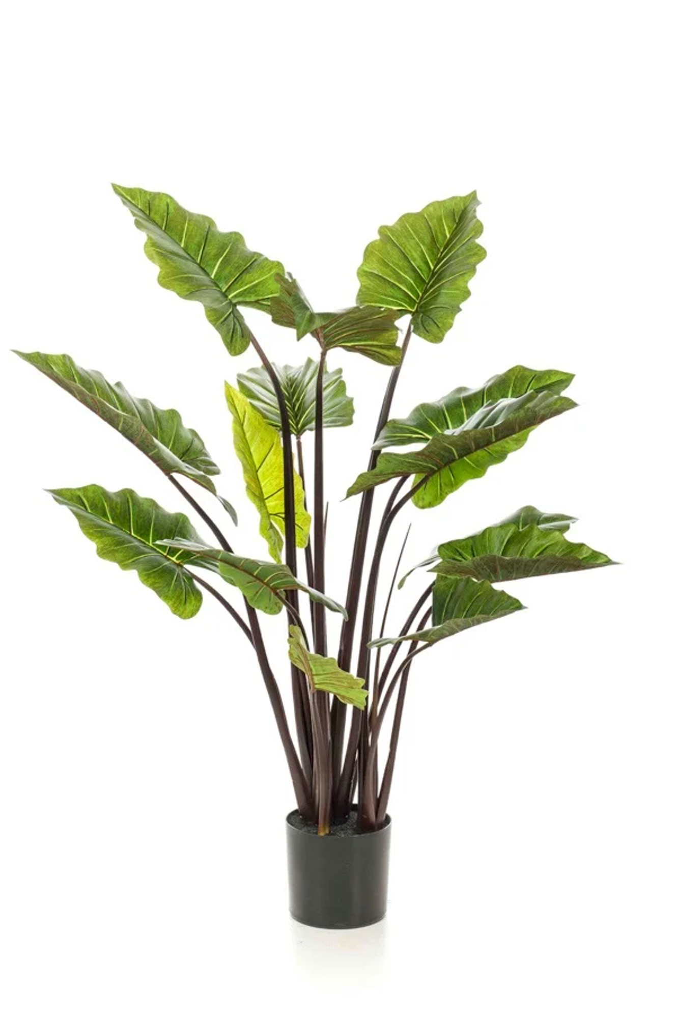 EMERALD Artificial plant Colocasia - Wilhelmina Designs