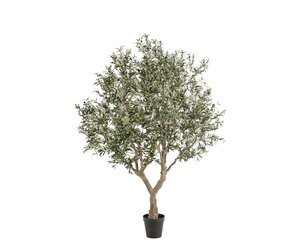 EMERALD Art Olive Tree - Wilhelmina Designs