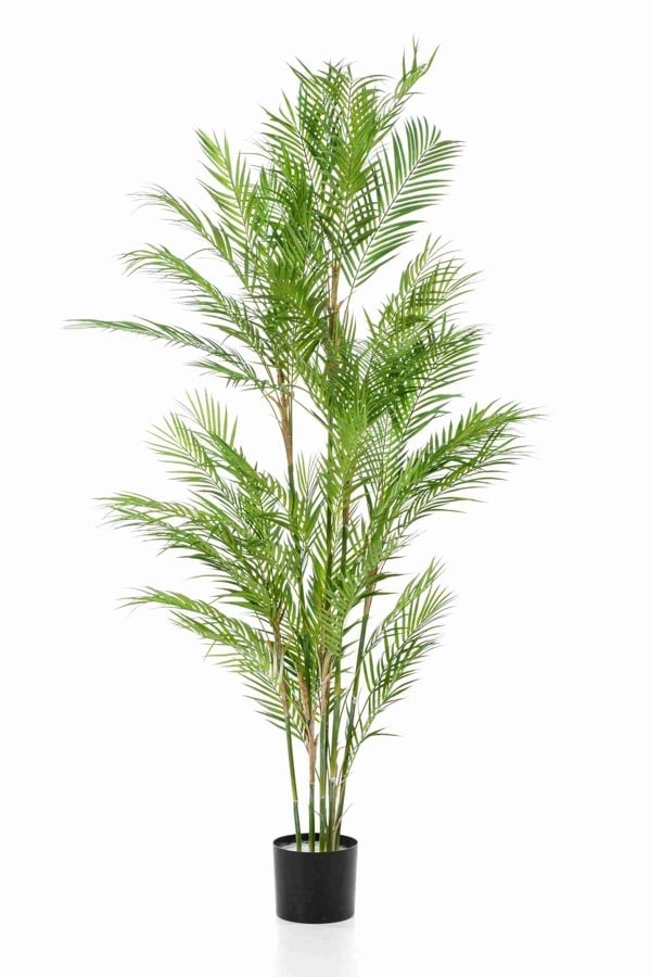 EMERALD Künstliche Pflanze Chamaedorea-Palme - Wilhelmina Designs