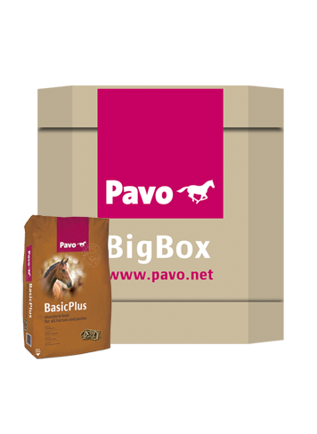 Pavo BasicPlus Big Box 725 kg - Paardenvitamines.be