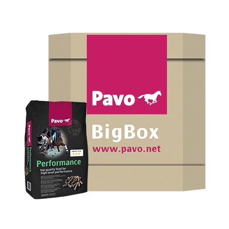 Pavo performance Big Box 725 kg - Paardenvitamines.be