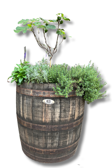 Whiskyvat Kuip gemaakt van 190L Barrel, Lowland Deluxe - Barrel Atelier