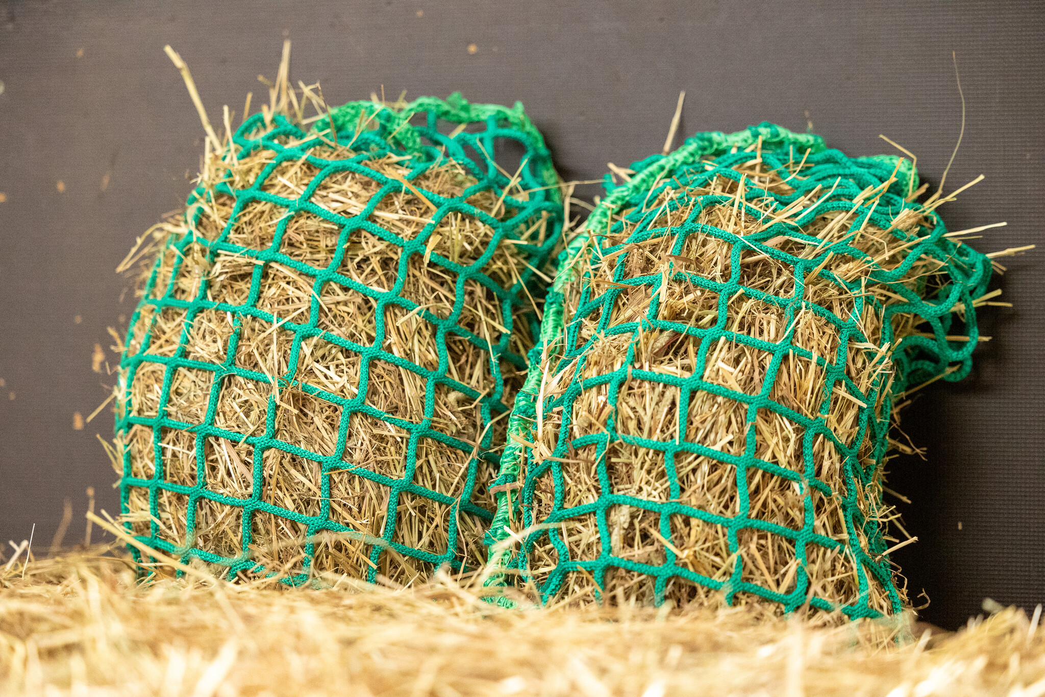Welke slowfeeder past bij jouw paard? | Nettenshop - Nettenshop