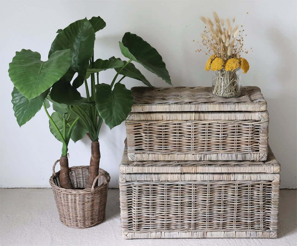 Grote Rotan mand Met Deksel - Sweet Living Shop