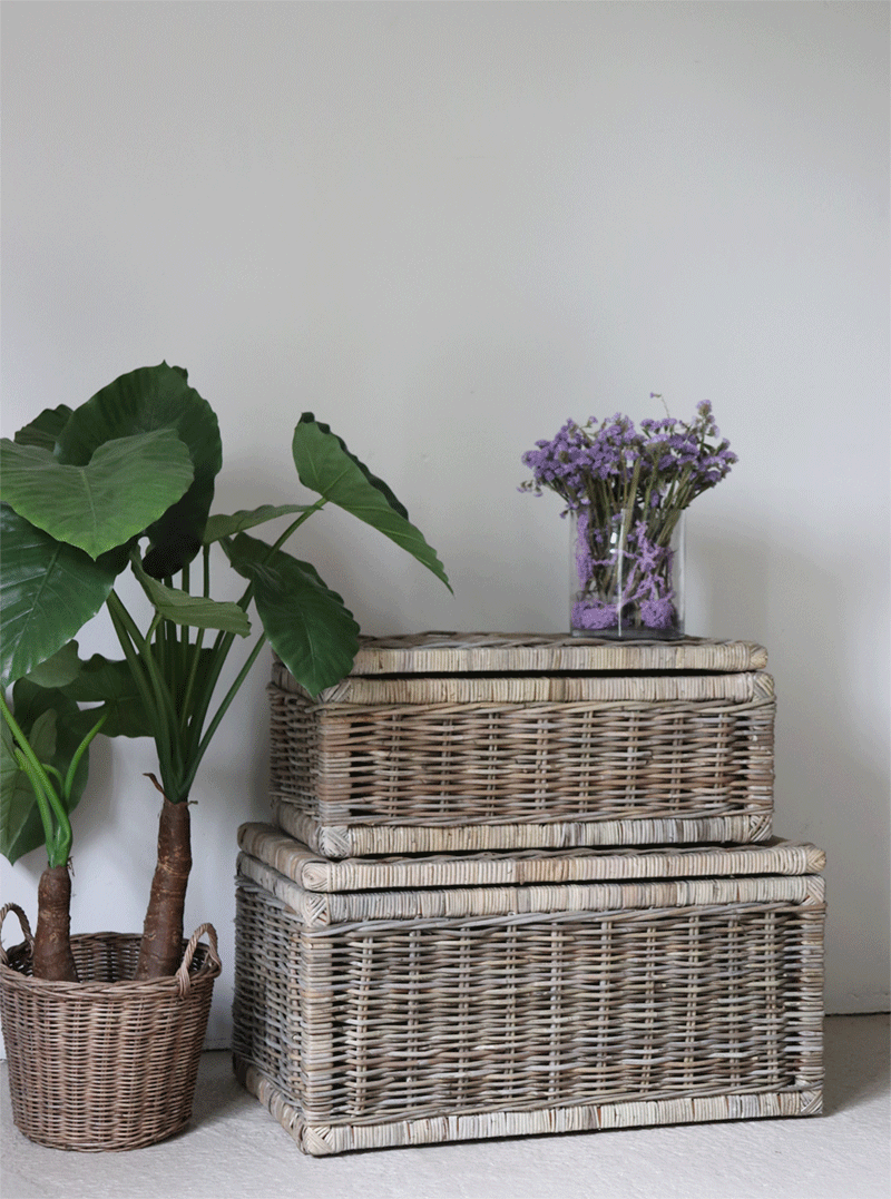 Grote Rotan mand Met Deksel - Sweet Living Shop