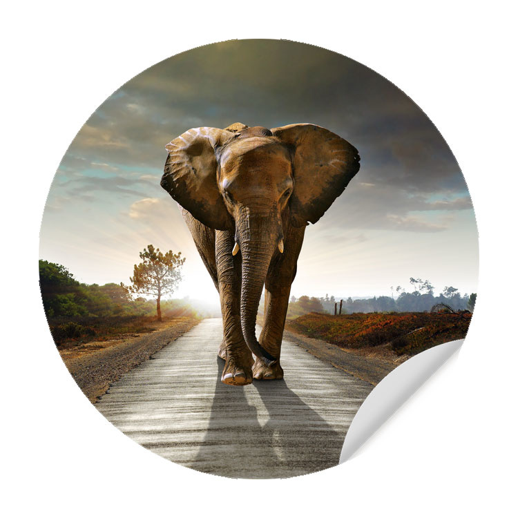 Muursticker Walking Elephant - Sweet Living Shop